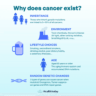 Cancer Cells vs Normal Cells: How Fast Cancer Grows and Spreads ...