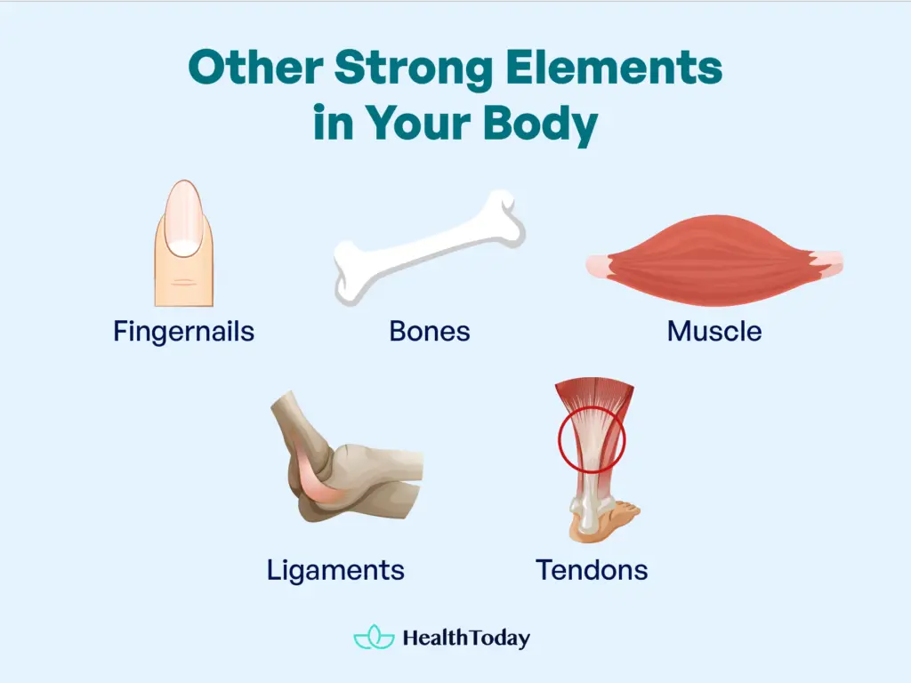 What Is the Hardest Substance in the Human Body? Not Your Bones
