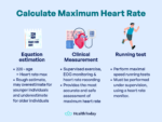 Average Heart Rate While Running: Normal Heart Rate, Heart Rate Zones
