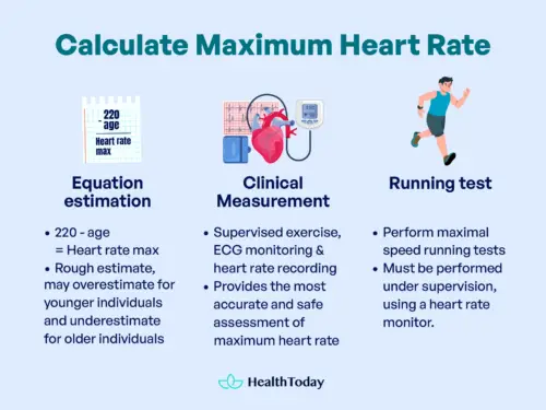 Average Heart Rate While Running: Normal Heart Rate, Heart Rate Zones