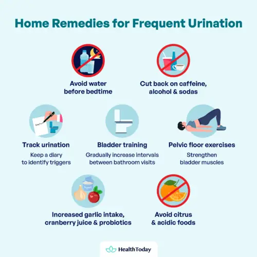 Frequent Urination With Pain | Kidney Disease and Other Causes ...