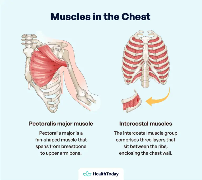 Muscle Aches in Chest: Is It Heart Pain or Muscle Pain? - HealthToday