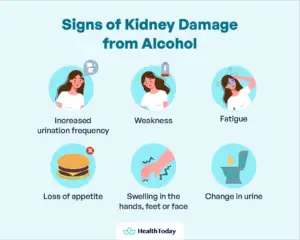 How Does Alcohol Affect Kidneys? Drinking and Kidney Facts - HealthToday