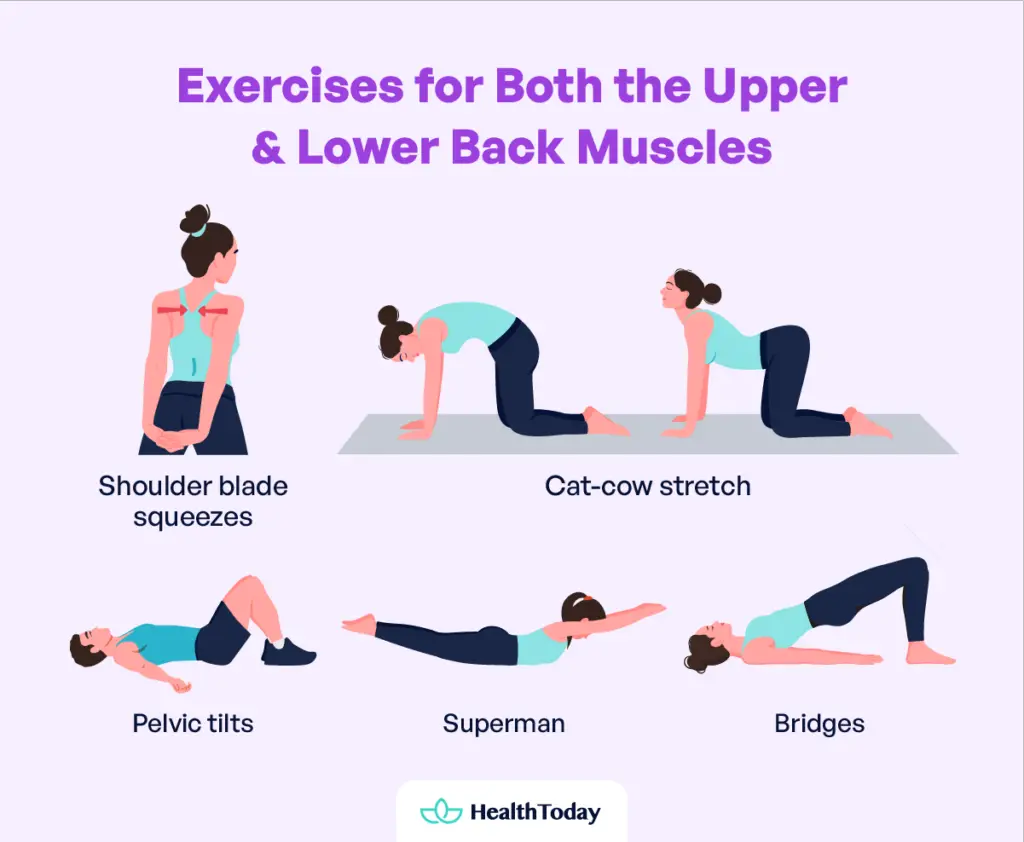 How To Stop Back Spasms With Core Stability Exercises and More ...