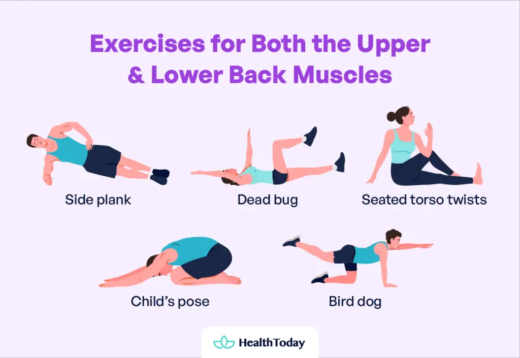 How To Stop Back Spasms With Core Stability Exercises and More ...