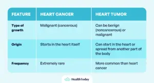 Is There Heart Cancer? Types, Symptoms, Treatments - HealthToday