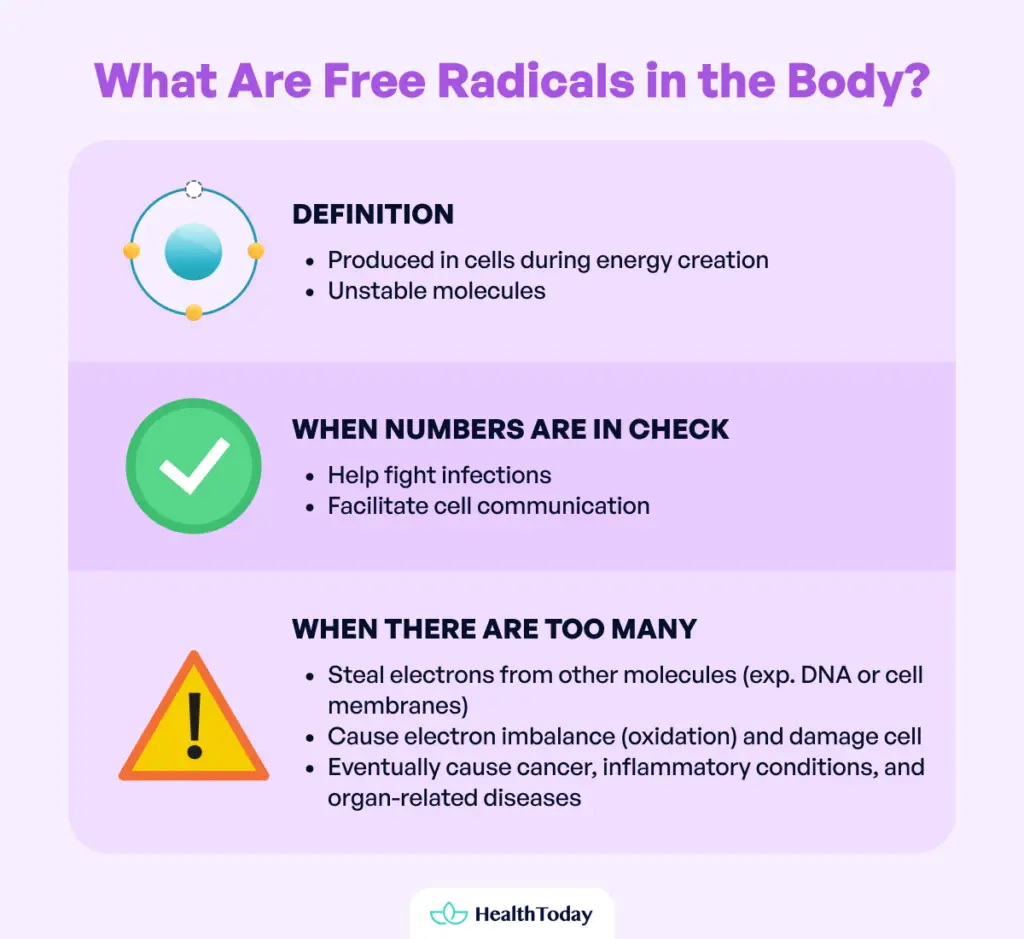 Plant-Based Diets May Help Reduce Free Radicals in the Body, Preventing ...