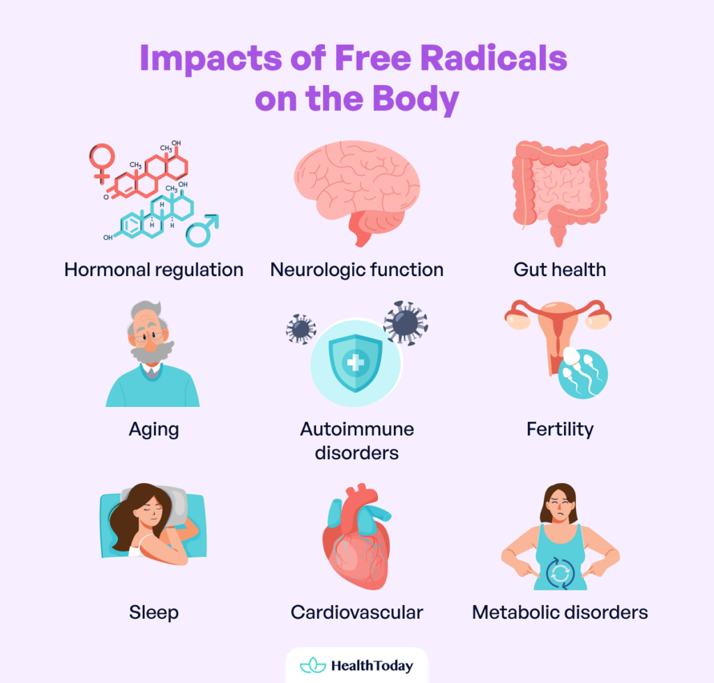 Plant-Based Diets May Help Reduce Free Radicals in the Body, Preventing ...