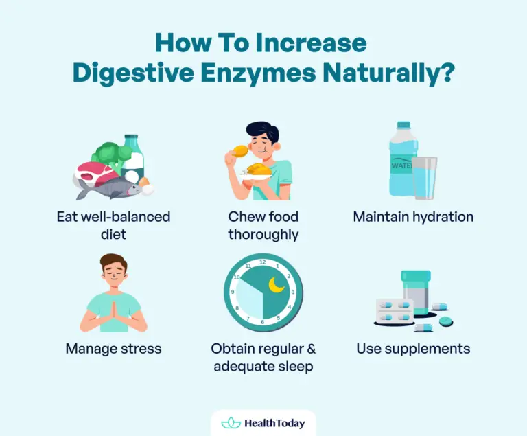 Digestive Enzymes for Protein: Types, Side Effects and More - HealthToday