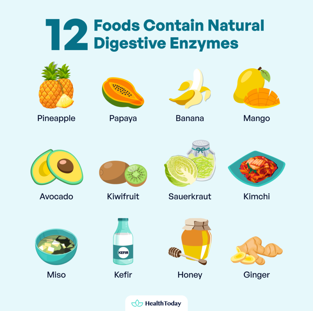 Digestive Enzymes for Protein: Types, Side Effects and More - HealthToday