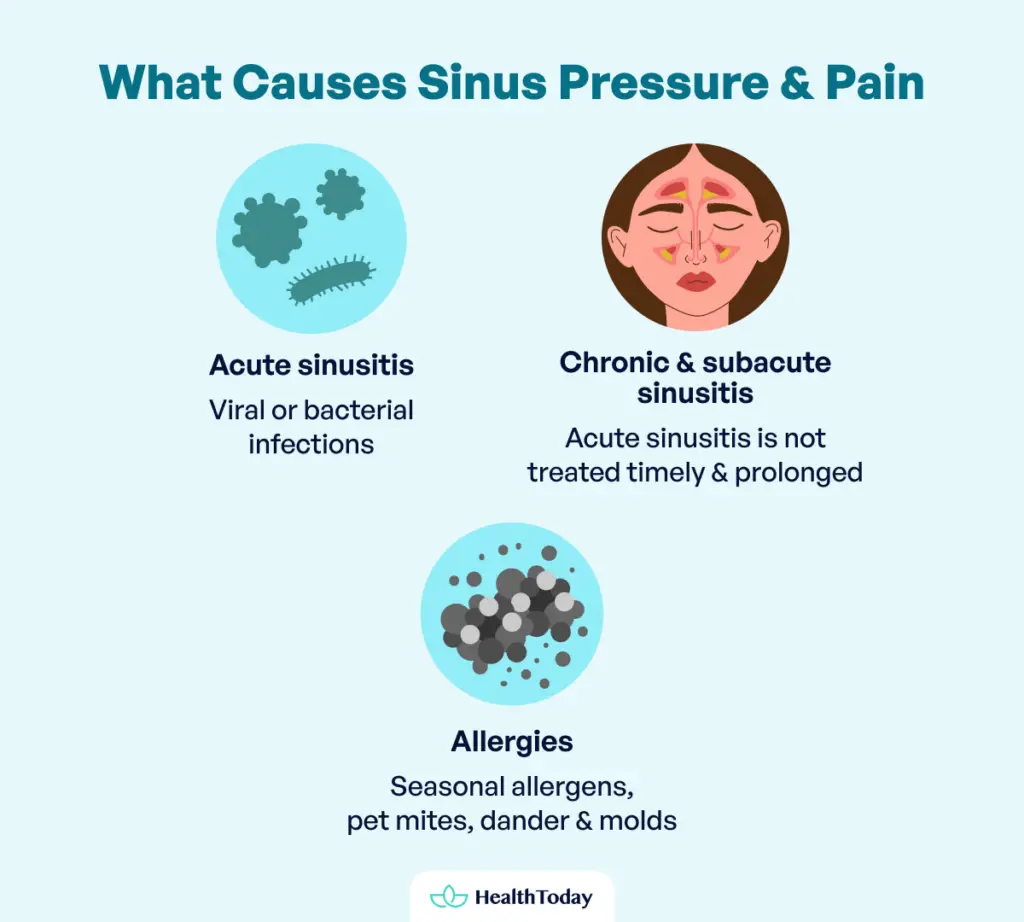 What Causes Sinus Pressure in the Face? Symptoms, Treatments, and Home ...