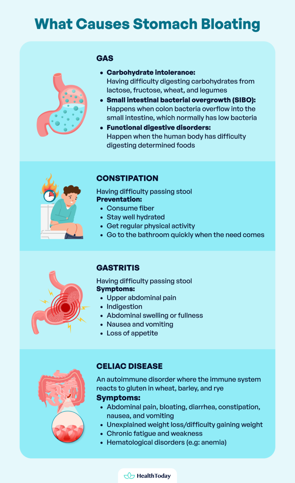 Why Is My Stomach Bloated? Explore the Causes, Treatments and Remedies - HealthToday